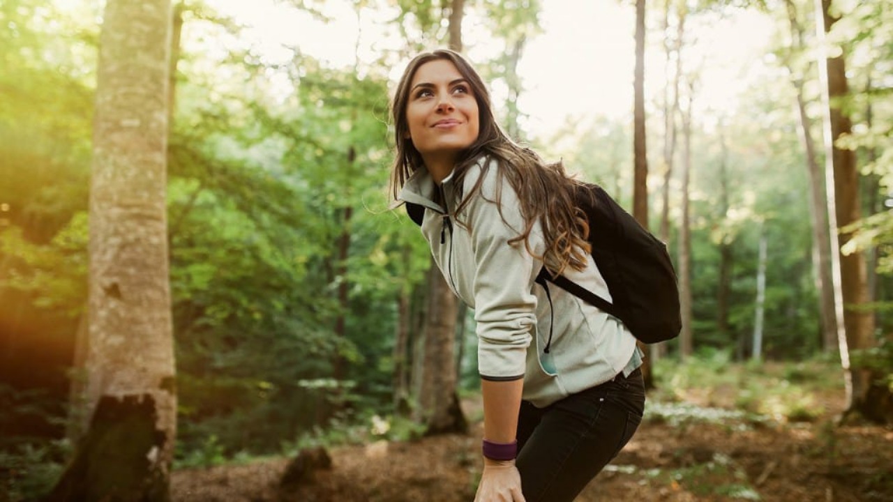 How Can Wandering Into Nature Bring Us Peace - SuccessYeti