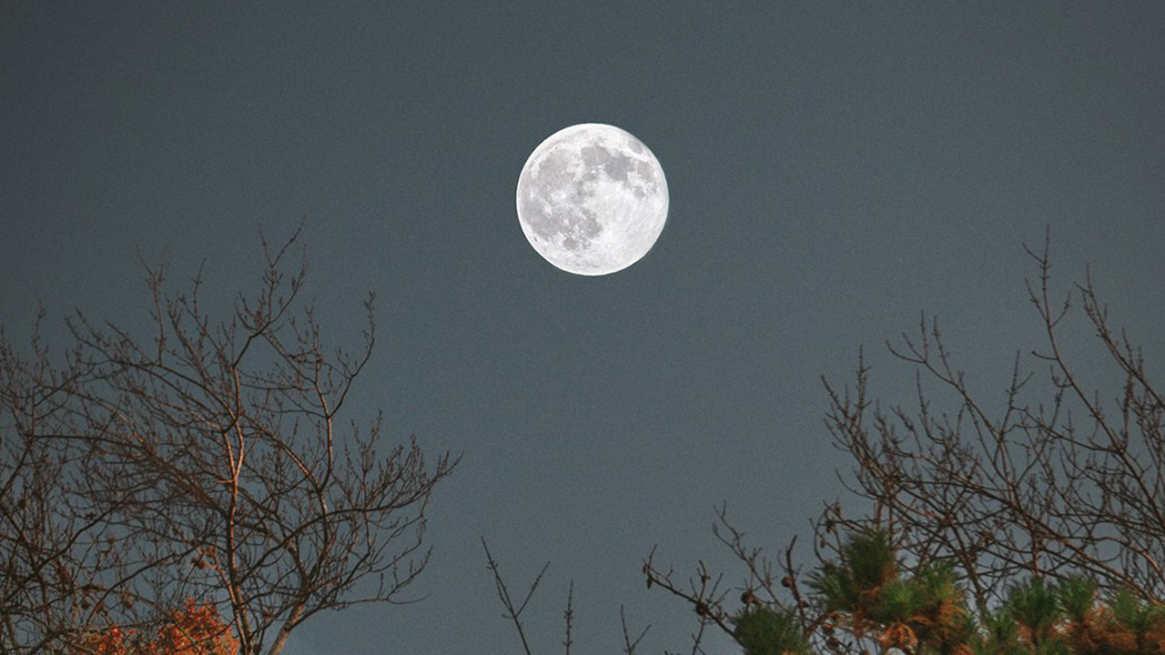 What Is Moon Bathing? - SuccessYeti