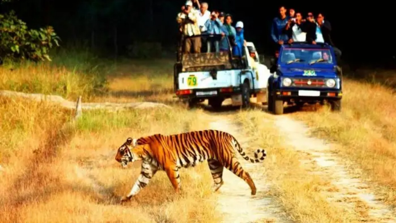 5 Must Visit National Parks In India For Adventure Lovers - SuccessYeti