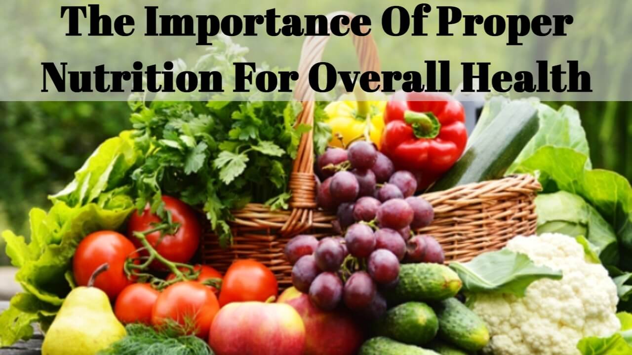 The Importance Of Proper Nutrition For Overall Health - SuccessYeti
