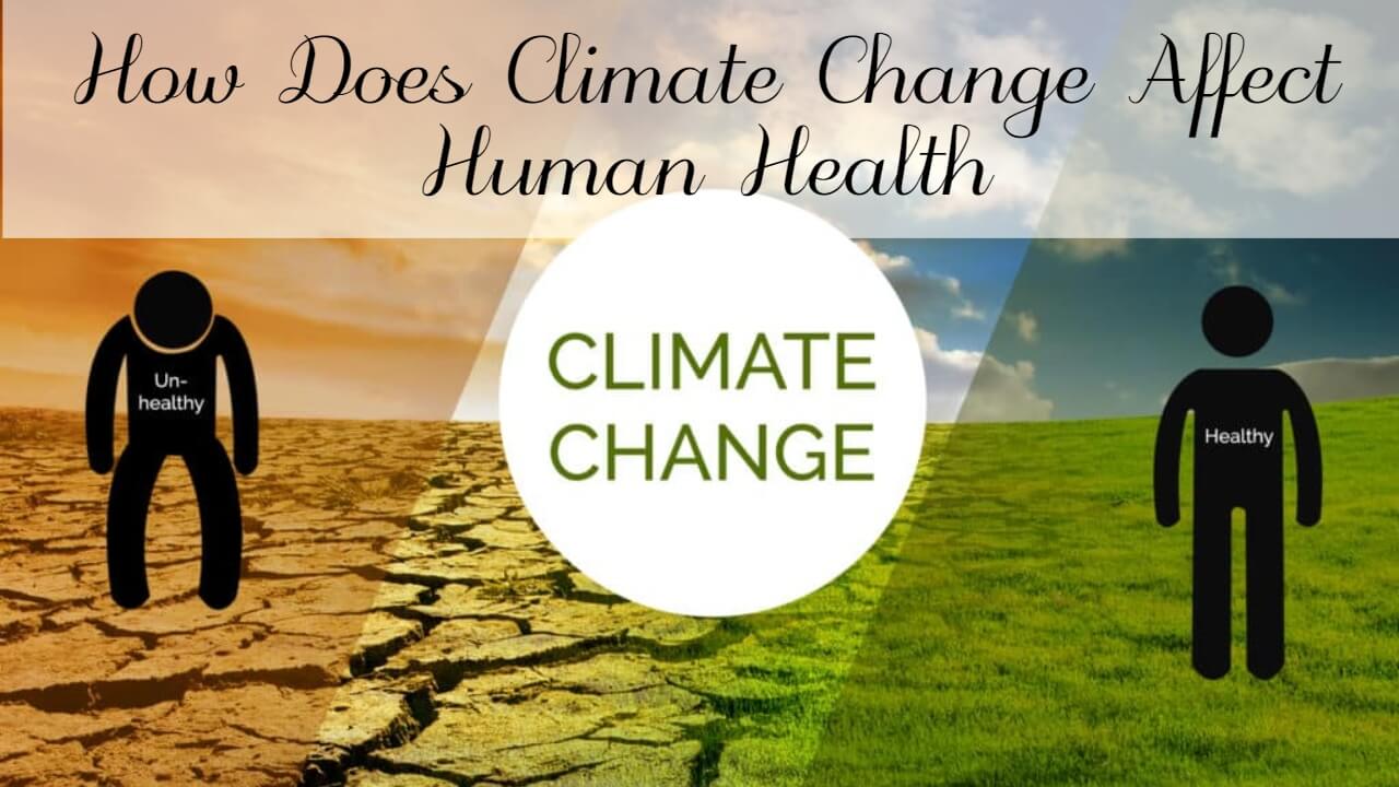 How Does Climate Change Affect Human Health - SuccessYeti